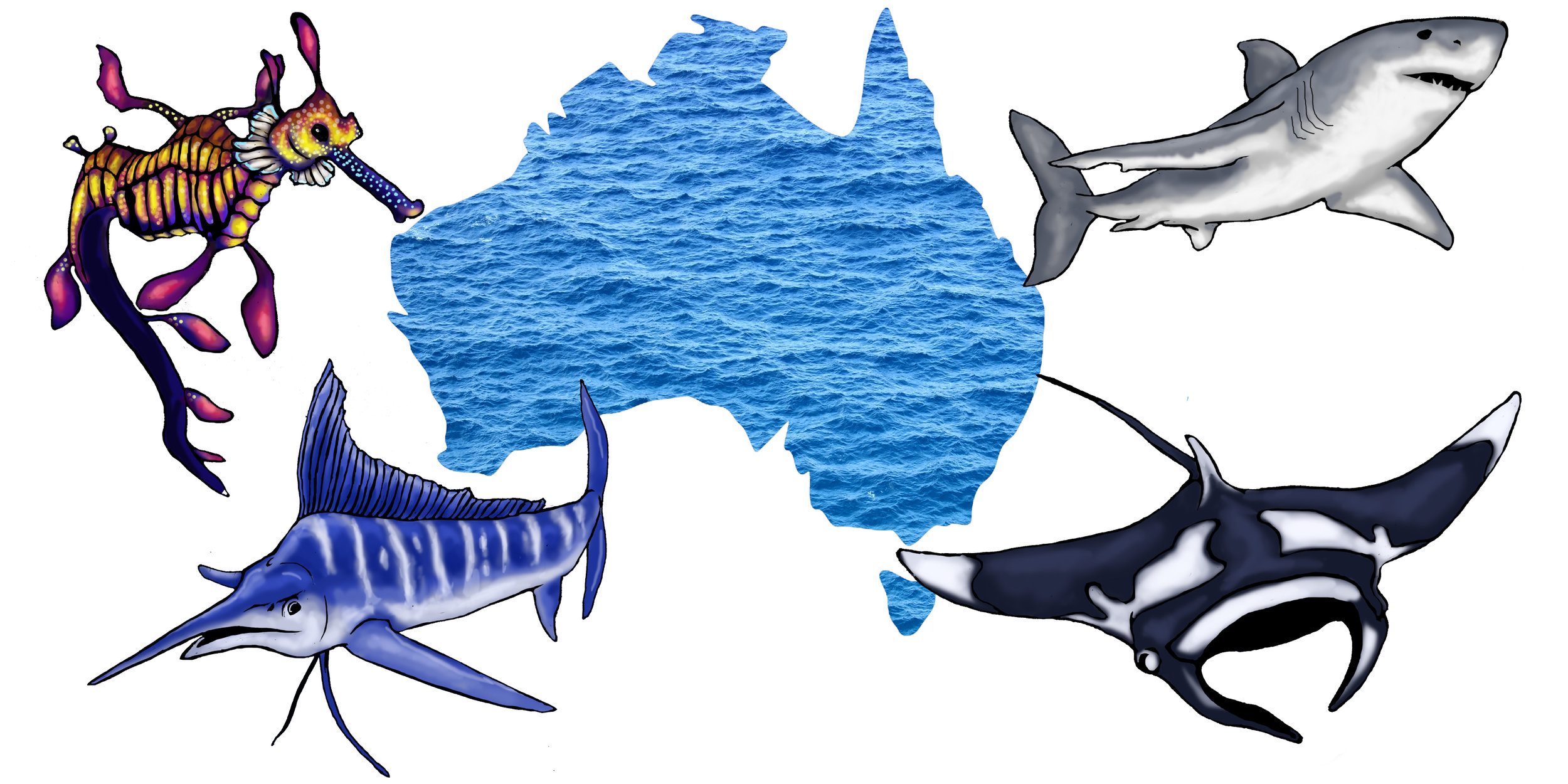 What is Australia's Favourite fish?