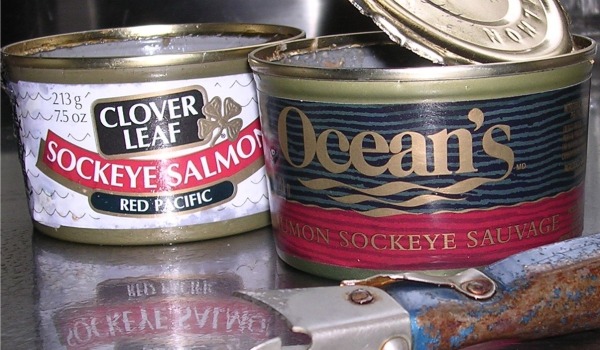 What is better canned salmon or canned tuna?