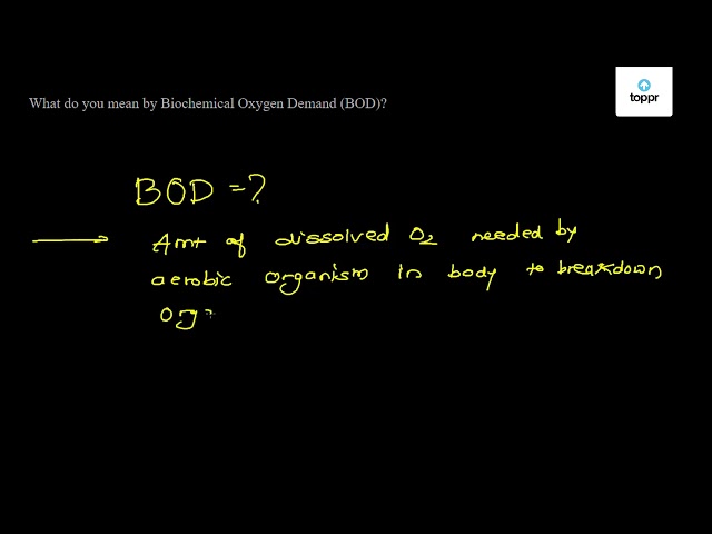 What is BOD Class 11?