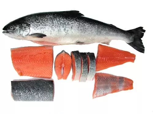 What is called salmon fish in Kerala?