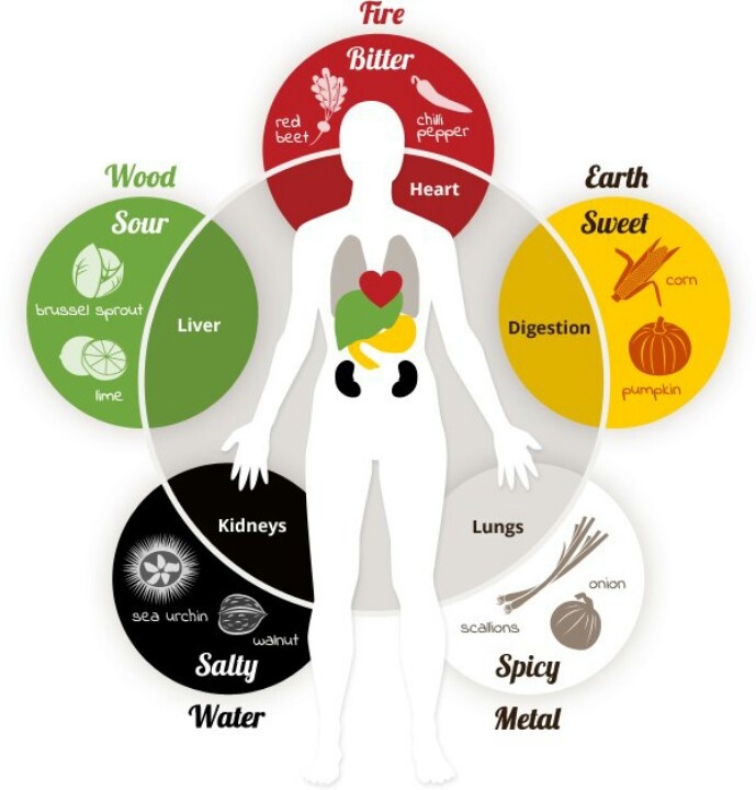 What is Chinese medicine theory?