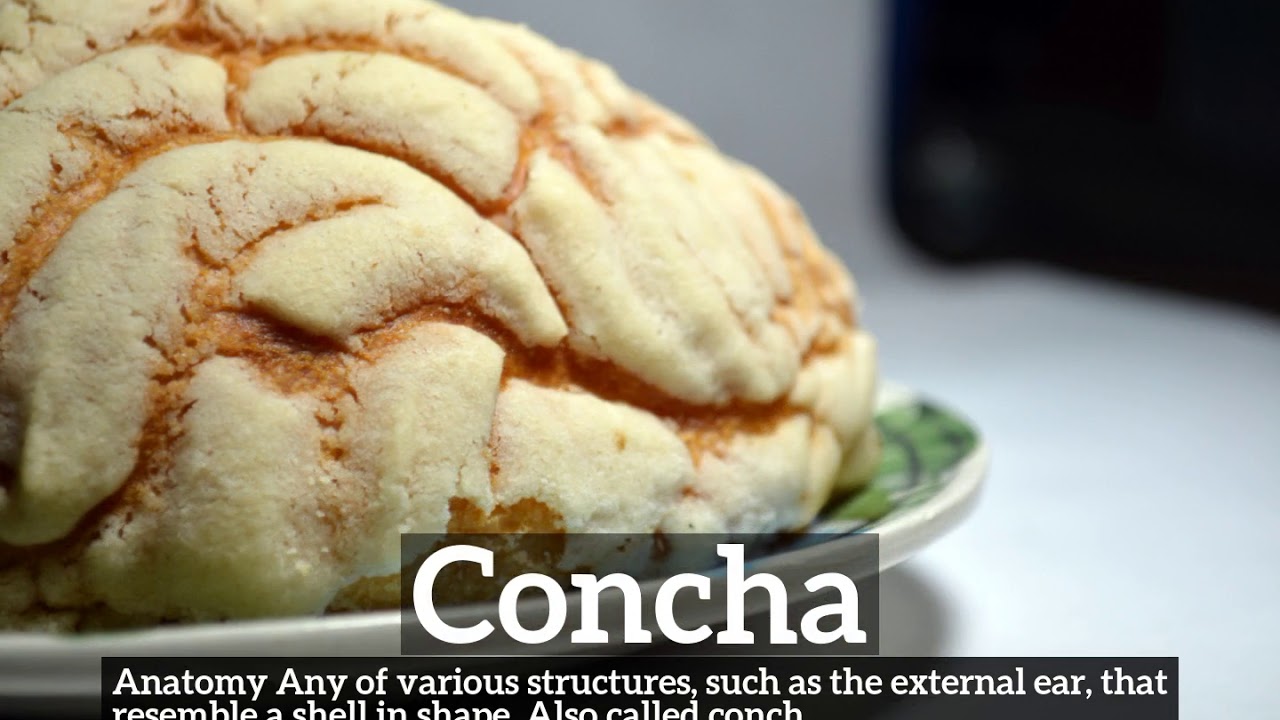 What is concha in English?