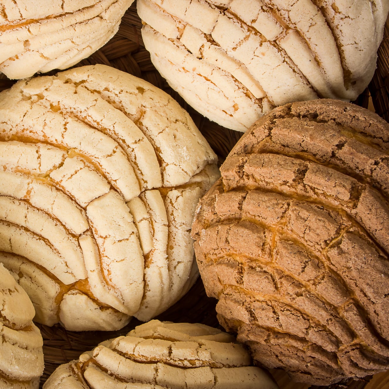 What is Conchas bread?