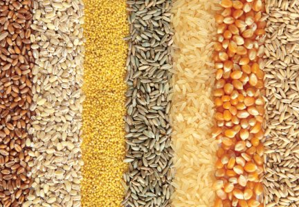 What is considered a cereal grain?