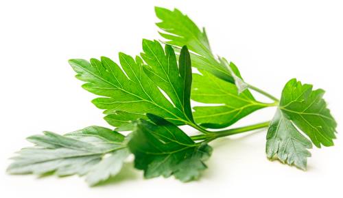 What is considered a sprig of parsley?