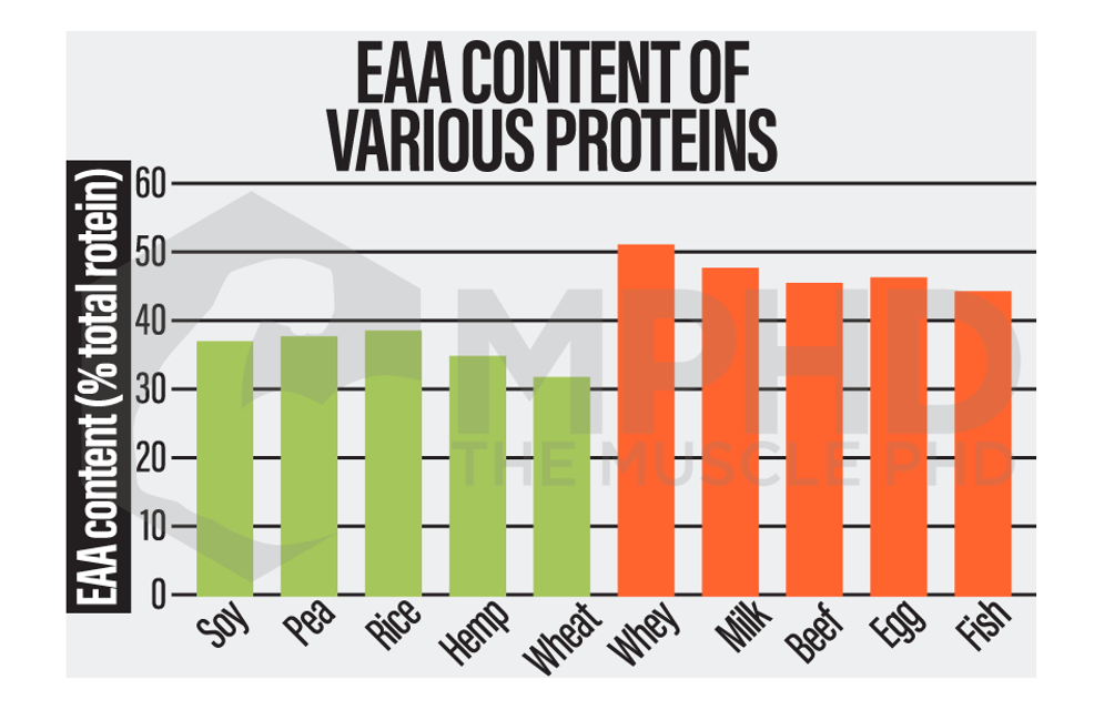 What is considered animal protein?