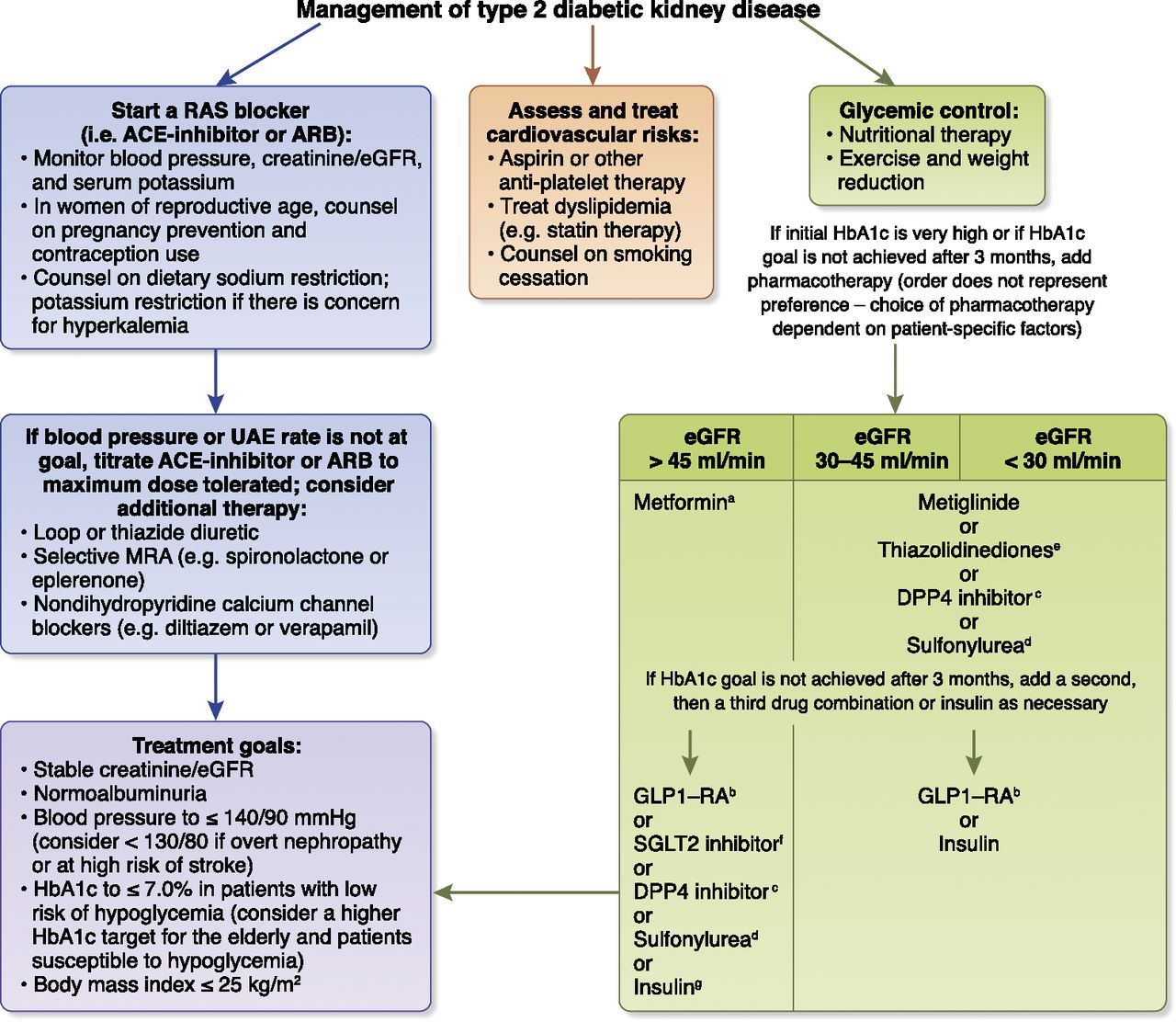 What is diabetic nephropathy and how is it treated?