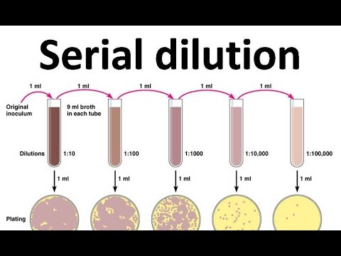 What is dilution method in microbiology?