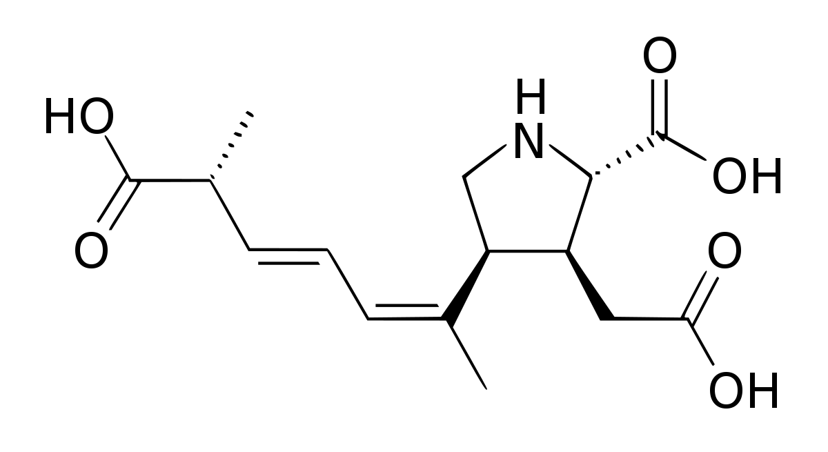 What is domoic acid used for?