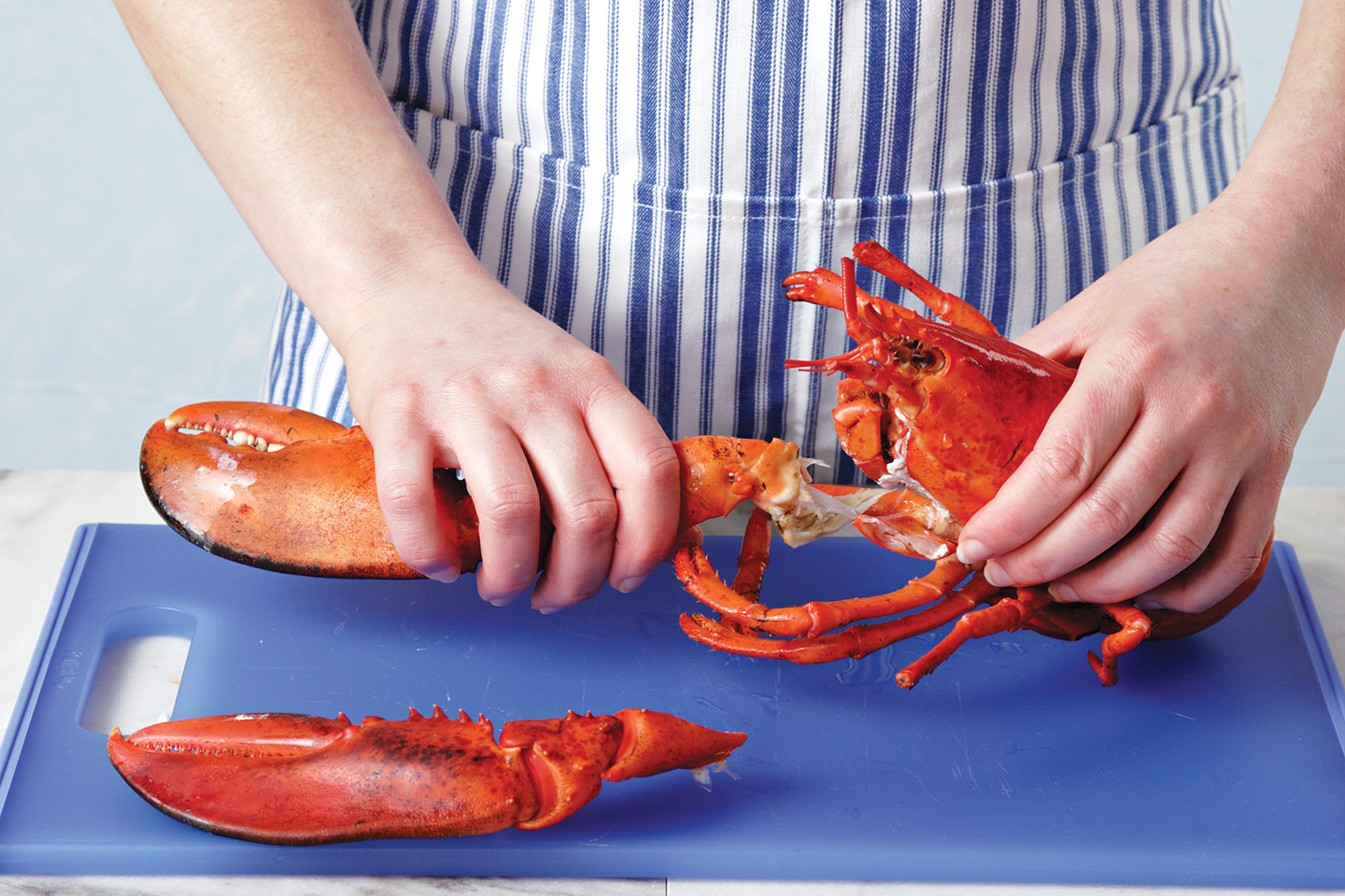 What is done with the shells of lobster?