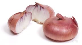 What is Dry Onion?