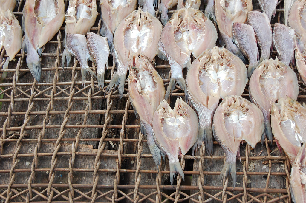 What is drying in fish?