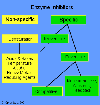 What is enzyme inhibitors and give two examples?