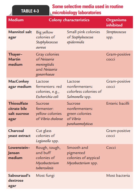 What is example of complex media microbiology?