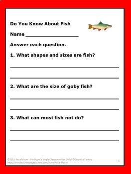 What is fish short answer?