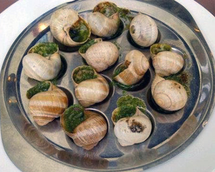 What is food made of snails called?