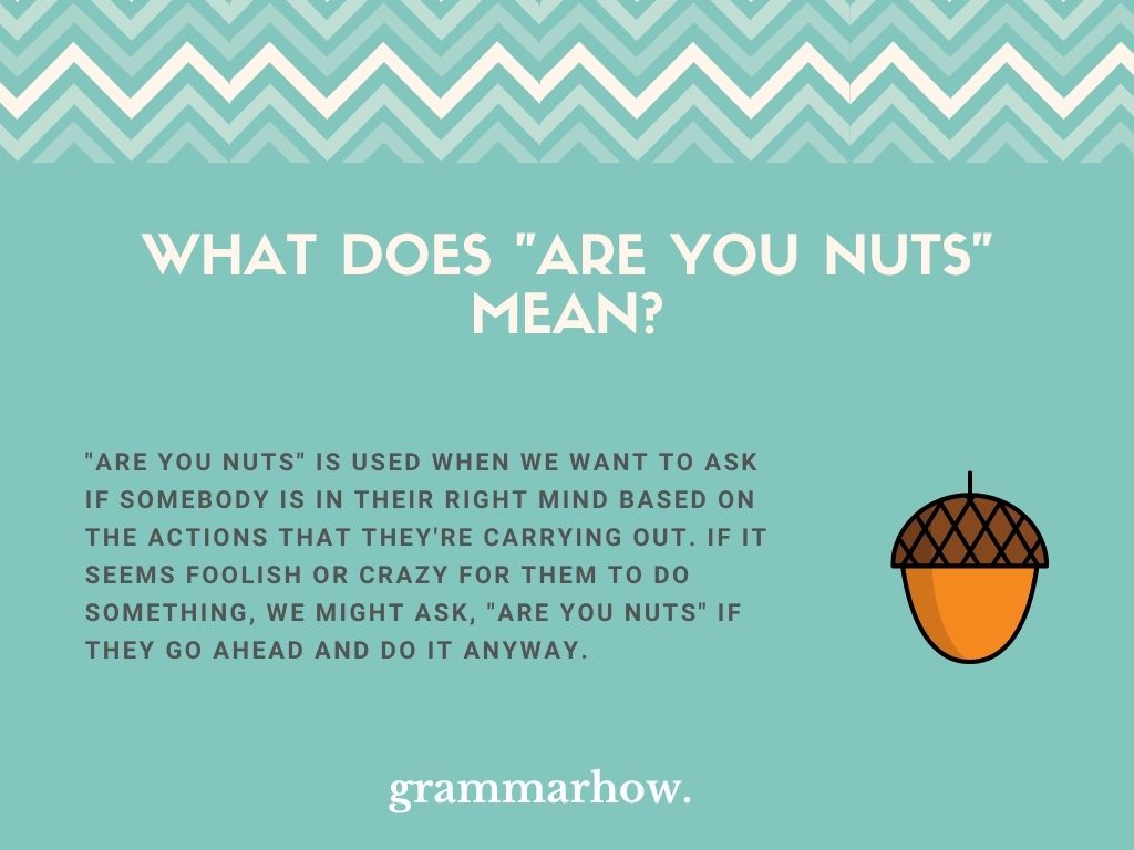 What is go nuts in slang?