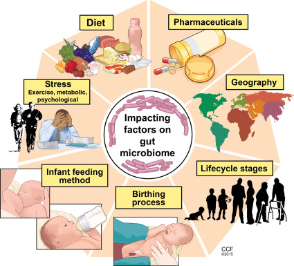 What is gut microbiome and why is it important?