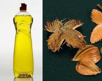 What is hair oil called in Sanskrit?