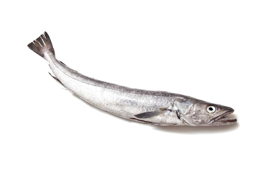 What is hake called in English?