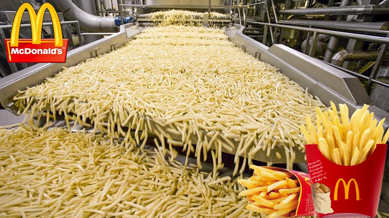 What is in McDonald's french fries made of?