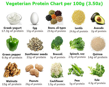 What is included in the Protein Foods Group for vegetarians?