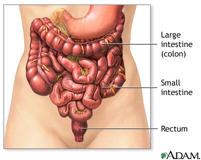 What is intestinal gas?
