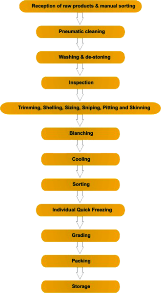 What is IQF process?