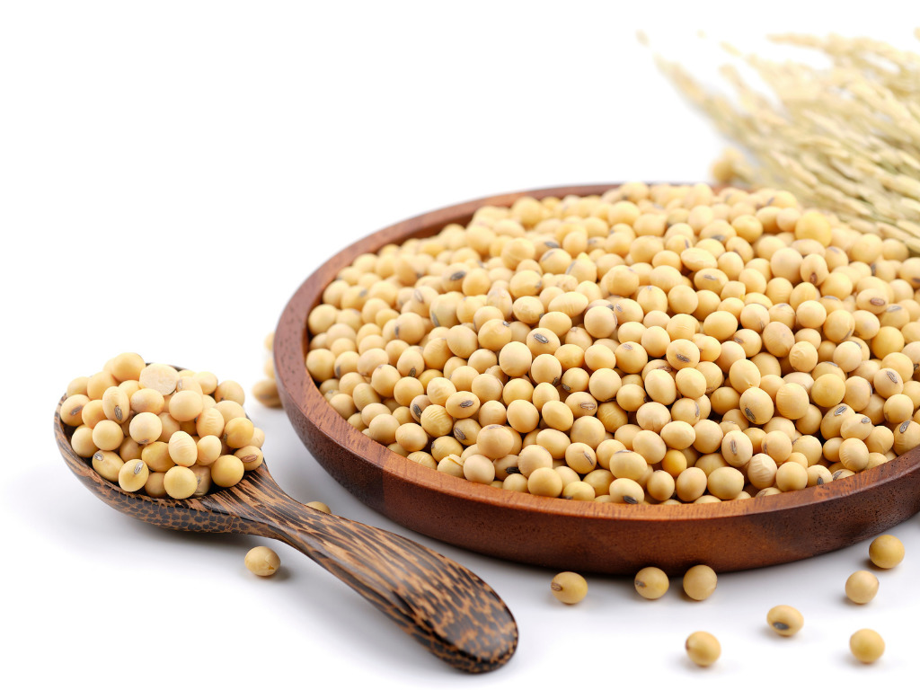 What is isolated soy product?