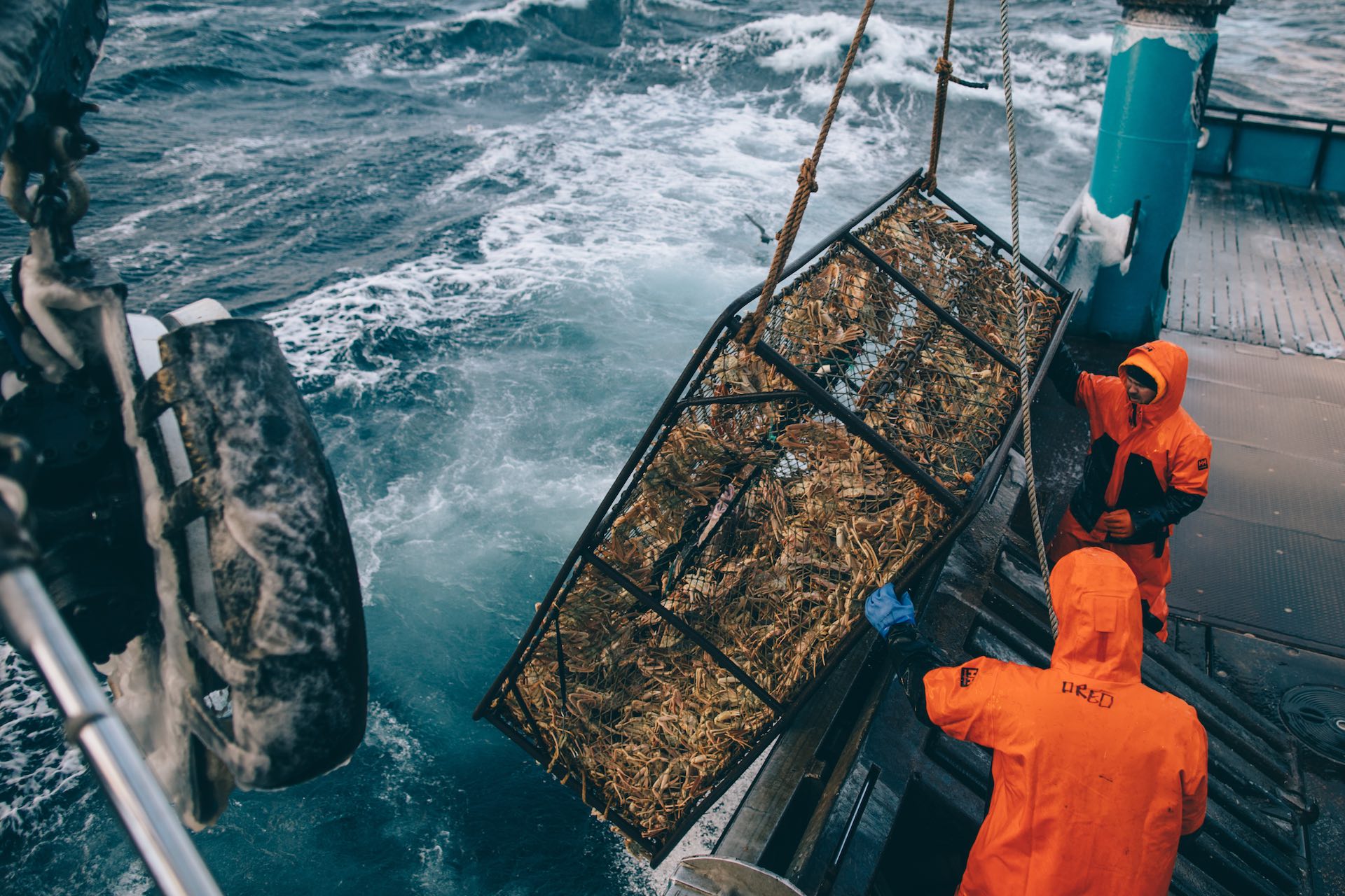 What is it like to work on a crab ship?