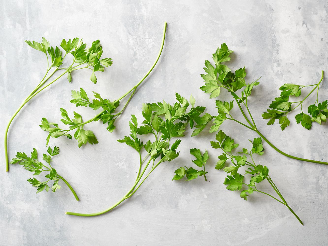 What is Italian parsley also called?