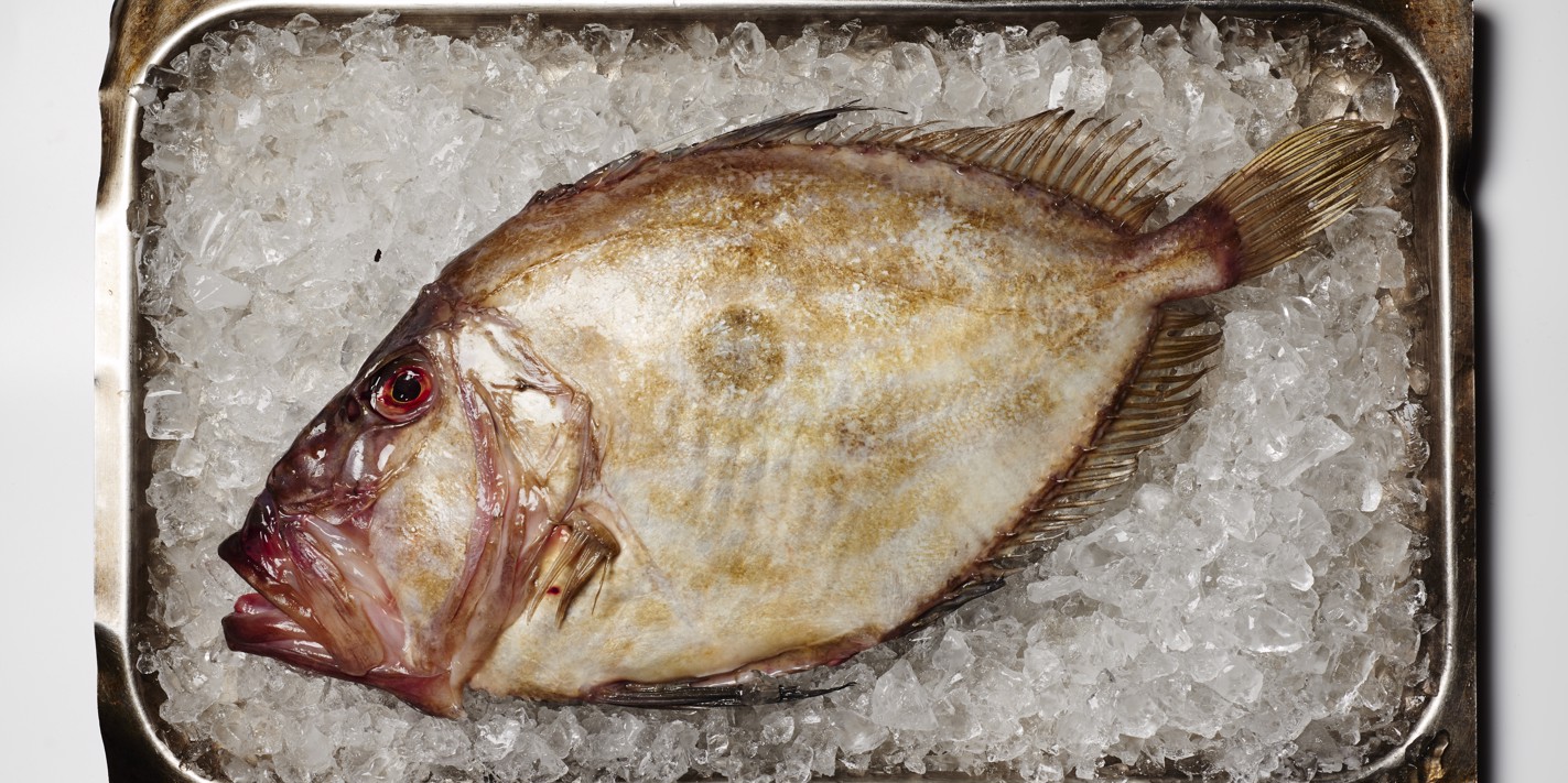 What is John Dory in food?