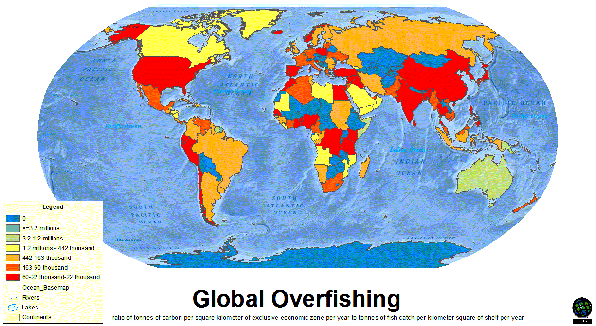 What is leading to overfishing in much of the world?