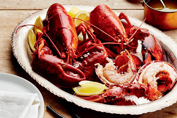 What is lobster brine?