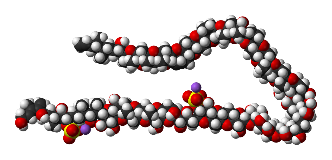 What is maitotoxin poisoning?