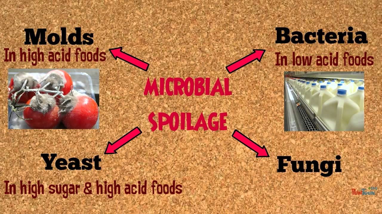 What is meant by microbiological food spoilage?