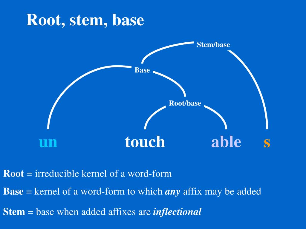 What is meant by root in linguistics?