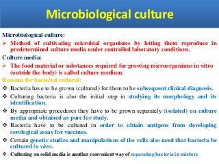 What is microbial culture media?