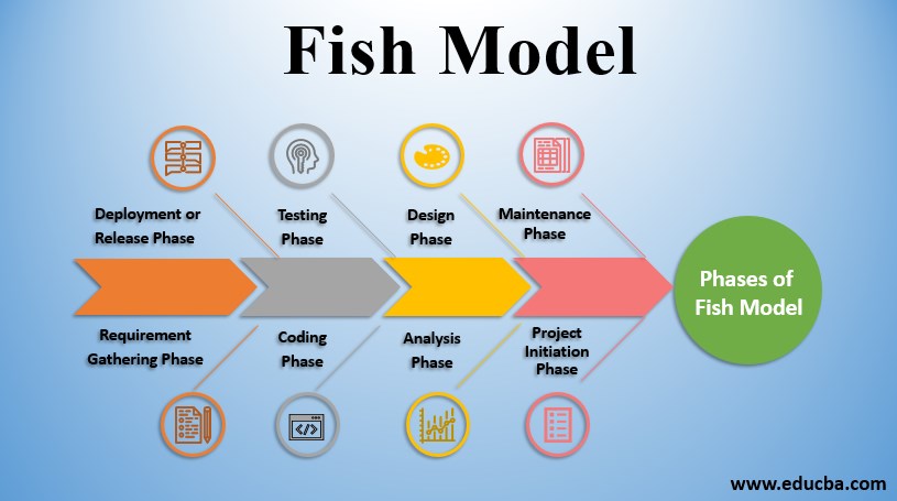 What is model in fish management?