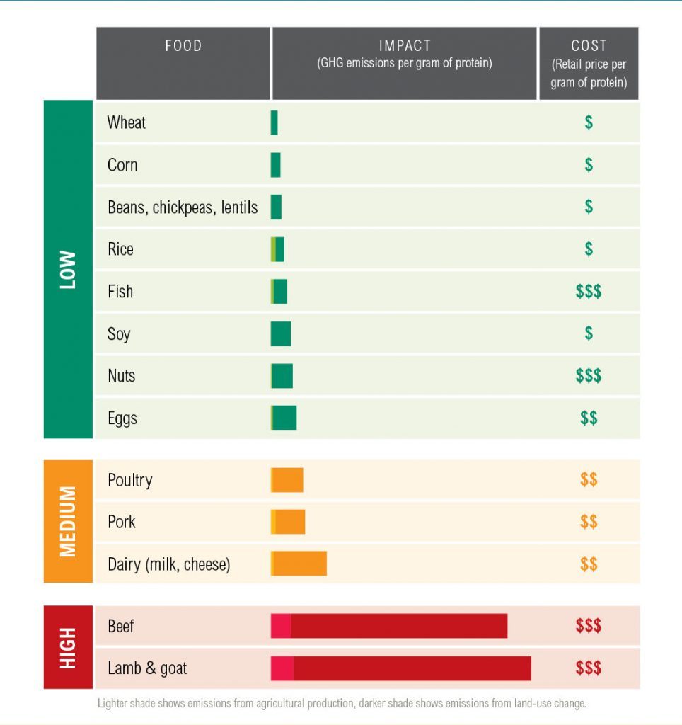 What is more important protein quality or protein quantity?