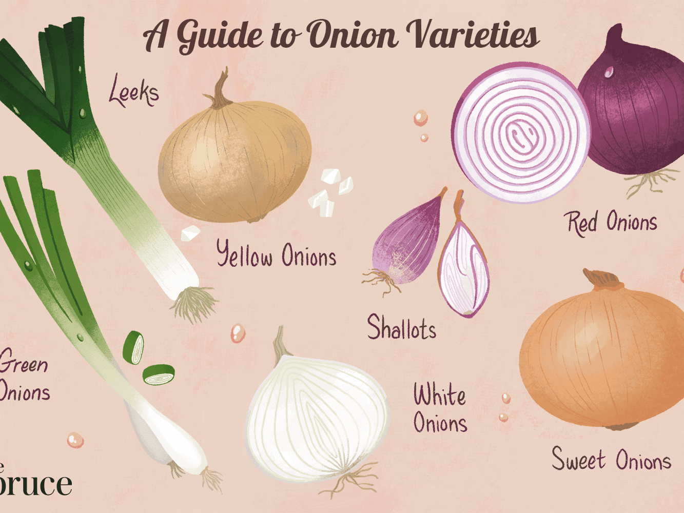 What is onions called in English?