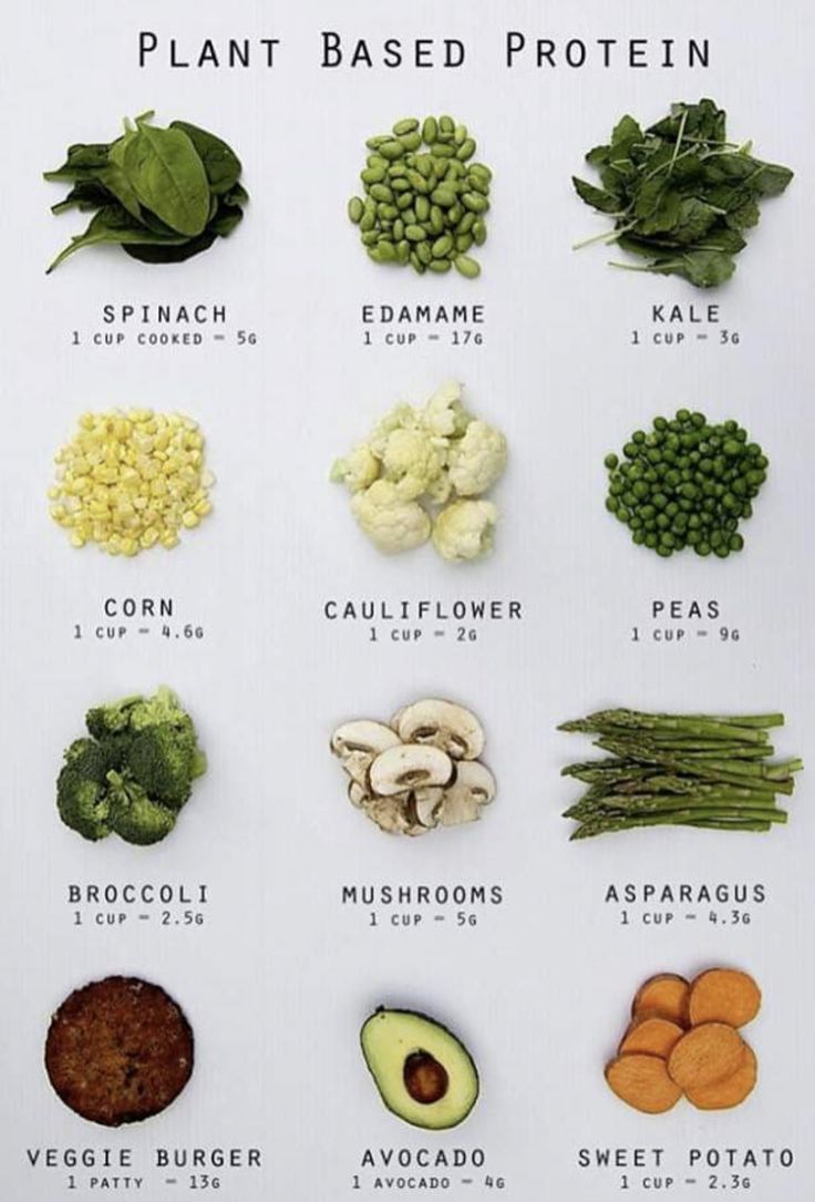 What is plant-based protein?