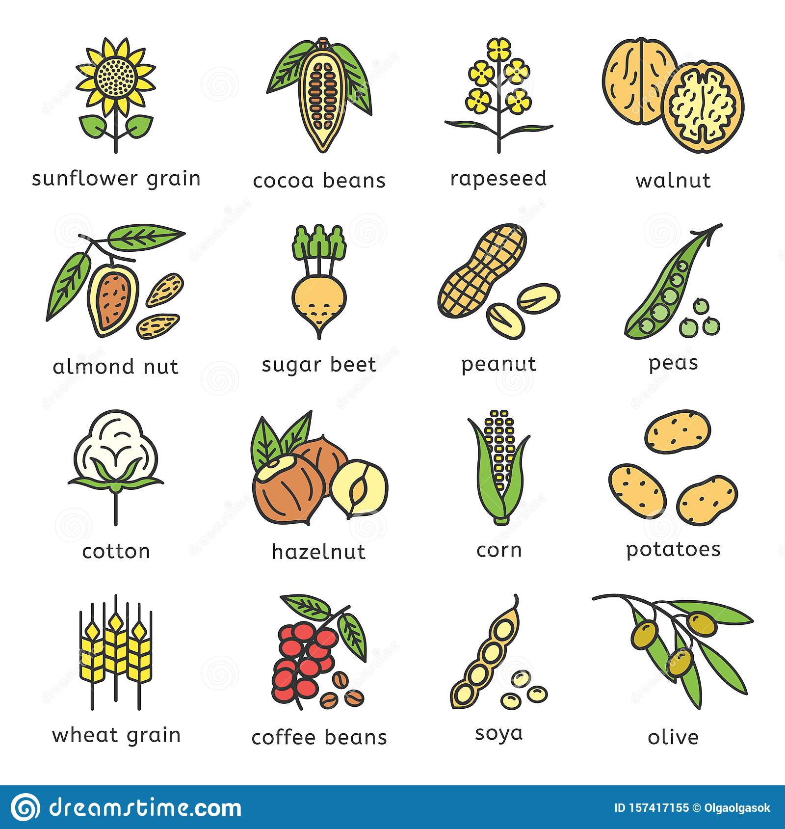What is plant origin food?