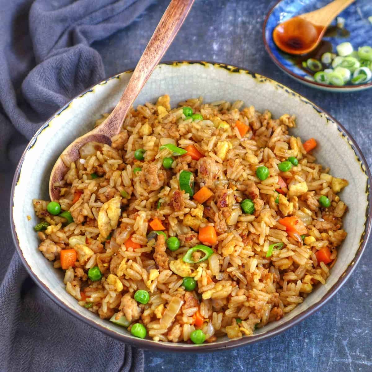 What is pork fried rice made of?