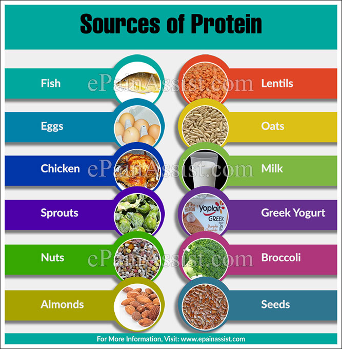 What is protein and its sources?