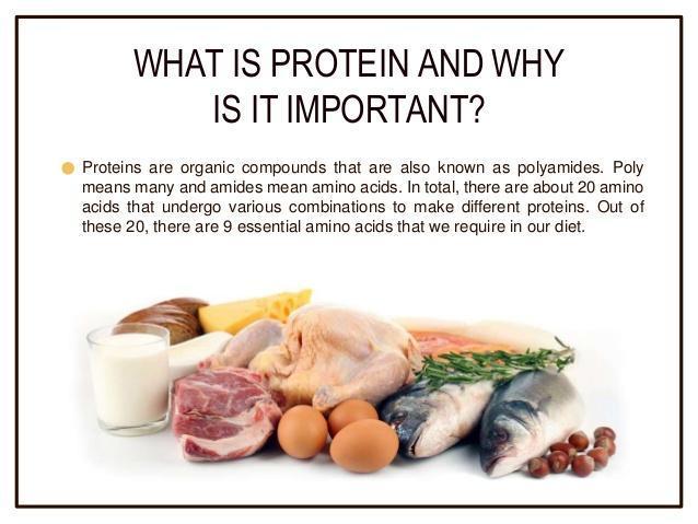 What is protein and why is it important?