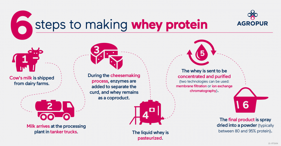 What is protein isolate made of?