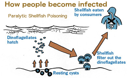 What is PSP poisoning in fish?