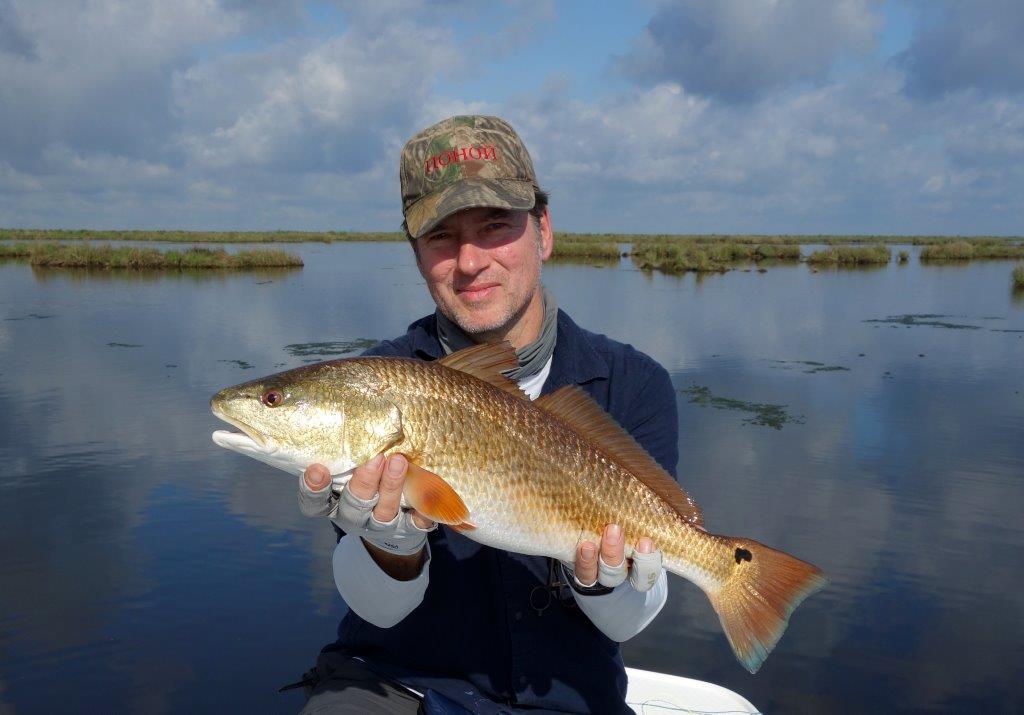 What is redfish in USA?