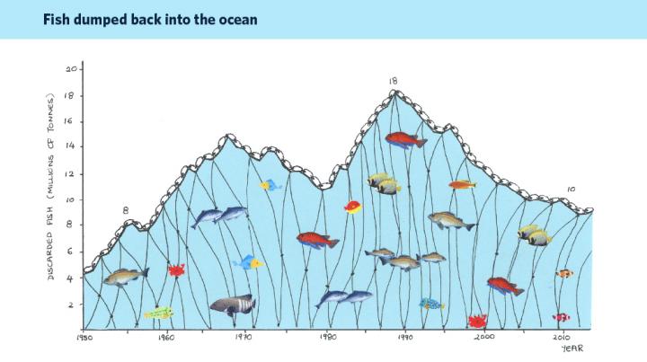 What is responsible for declining fish stocks?